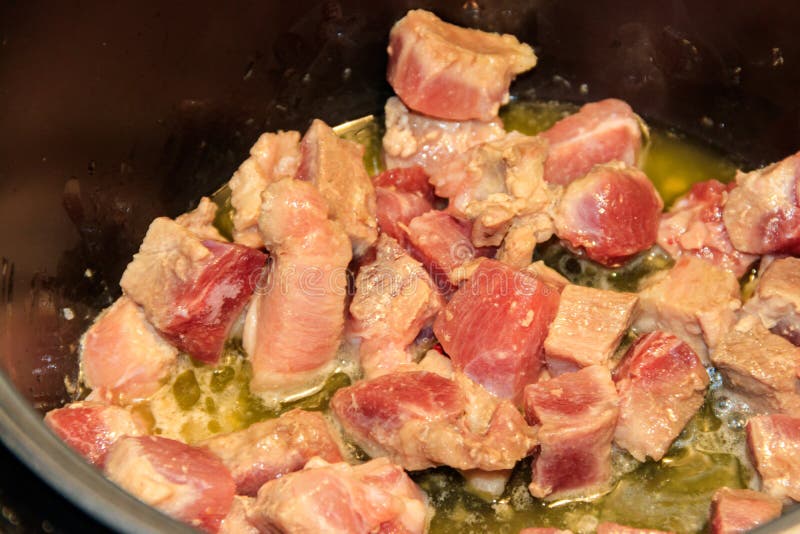 Chopped Pork Meat Cooking in Slow Cooker Stock Image - Image of healthy ...