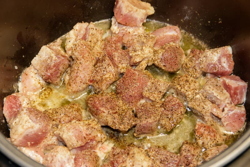 Chopped Pork Meat Cooking in Slow Cooker Stock Image - Image of meat ...