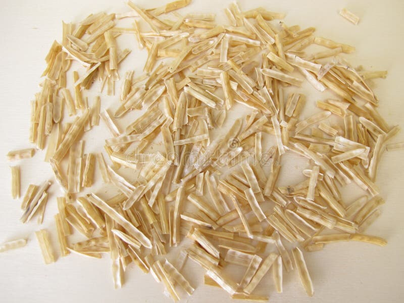 Chopped straw stock image. Image of stalks, resource - 293034235
