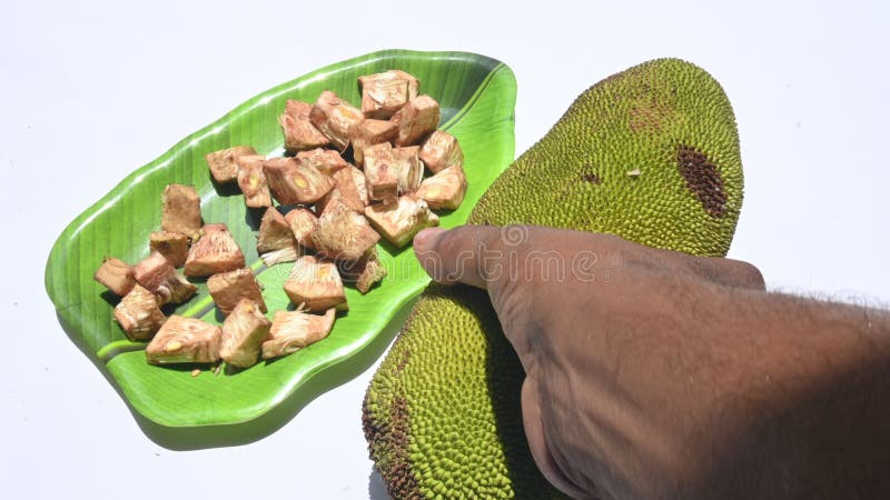 Chopped raw jackfruit. stock video. Video of tropical - 322488271