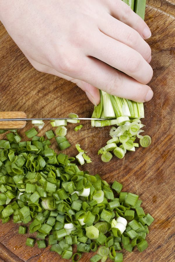 Isolated Buddhist elephant stock photo. Image of buddhism - 5990586