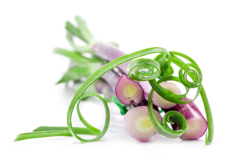 Chopped Spring Onions stock image. Image of fresh, nutrition - 9499215