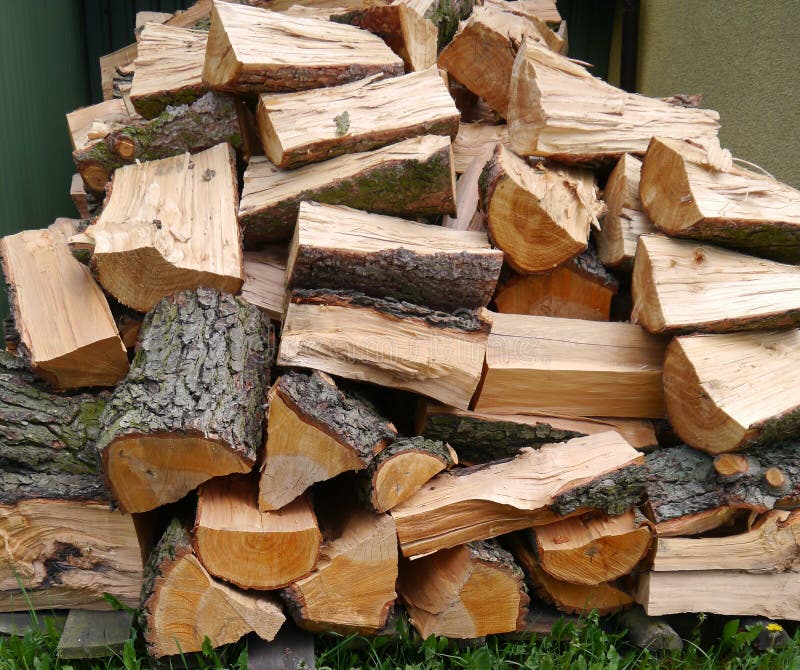 Chopped tree stock photo. Image of tree, chopped, nature - 25529198