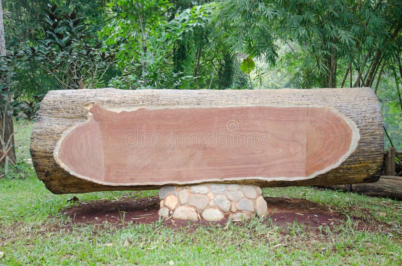 Chopped Tree Log Lies on the Ground Stock Photo - Image of genus ...