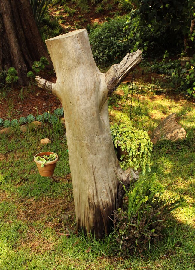 Chopped tree branches stock image. Image of nature, shape - 124896697