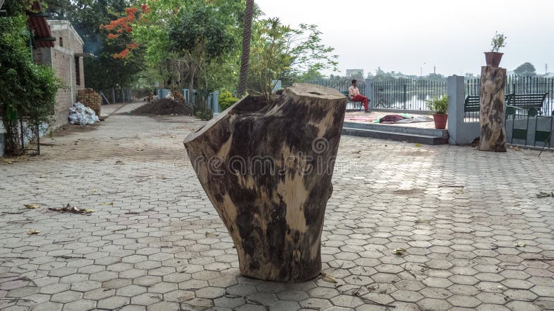 Chopped Tree Trunk at Sirpur Lake,Indore-India Editorial Stock Image ...