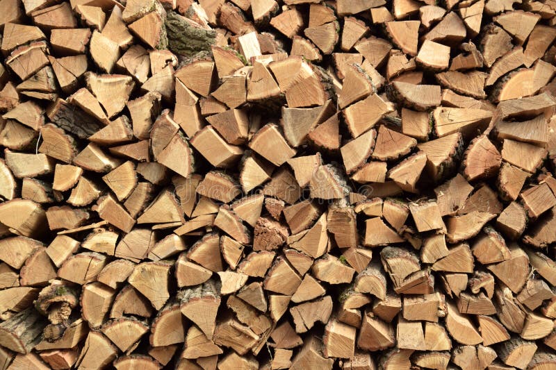 The Chopped Tree Was Piled in a Pile. Stock Image - Image of stack ...