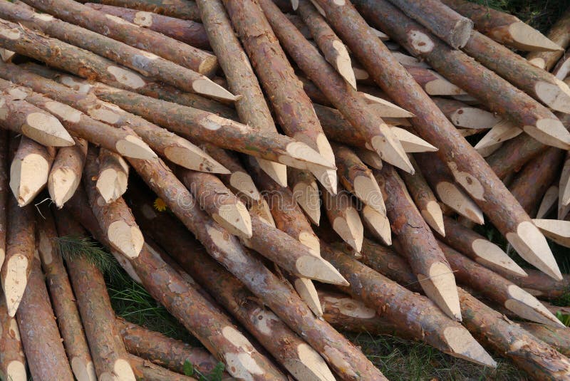 Chopped trees stock image. Image of pile, tree, lumberjack - 24664291