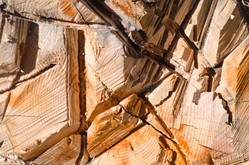 Chopped trunck stock image. Image of trunk, hard, brown - 58947017