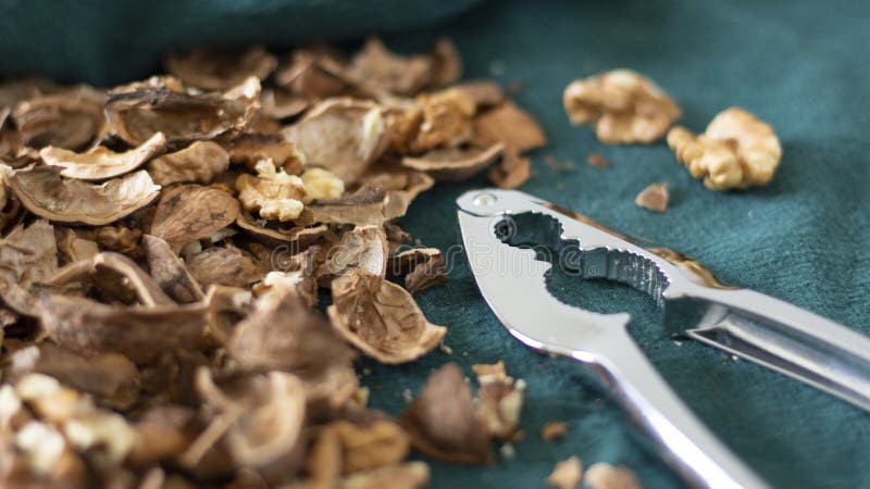 Nutrition Forest Massage Stock Photos - Free & Royalty-Free Stock ...