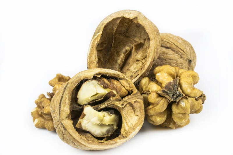 Walnuts with and without Shells. Stock Photo - Image of exporter ...