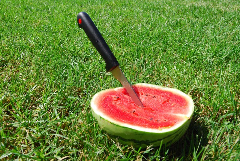 Chopped watermelon stock image. Image of flesh, juicy - 10369701