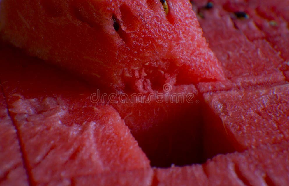 Chopped watermelon stock photo. Image of healthy, agriculture - 224055234