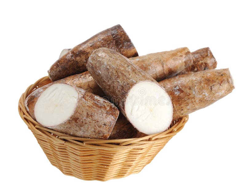 Chopped and whole cassava stock photo. Image of brown - 40809900
