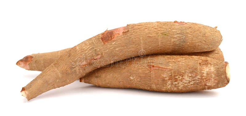 228 Cassava Skin Stock Photos - Free & Royalty-Free Stock Photos from ...