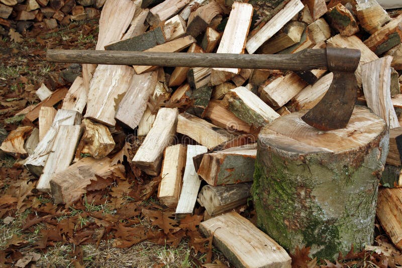 Chopped wood stock image. Image of branches, labouring - 11401021