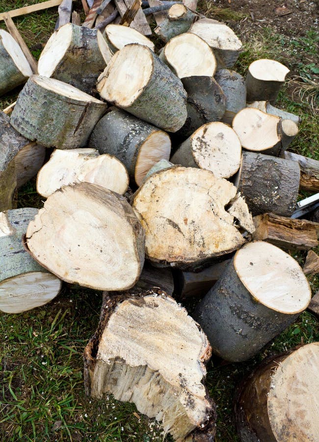 Chopped wood stock photo. Image of chopped, trees, fall - 91079176