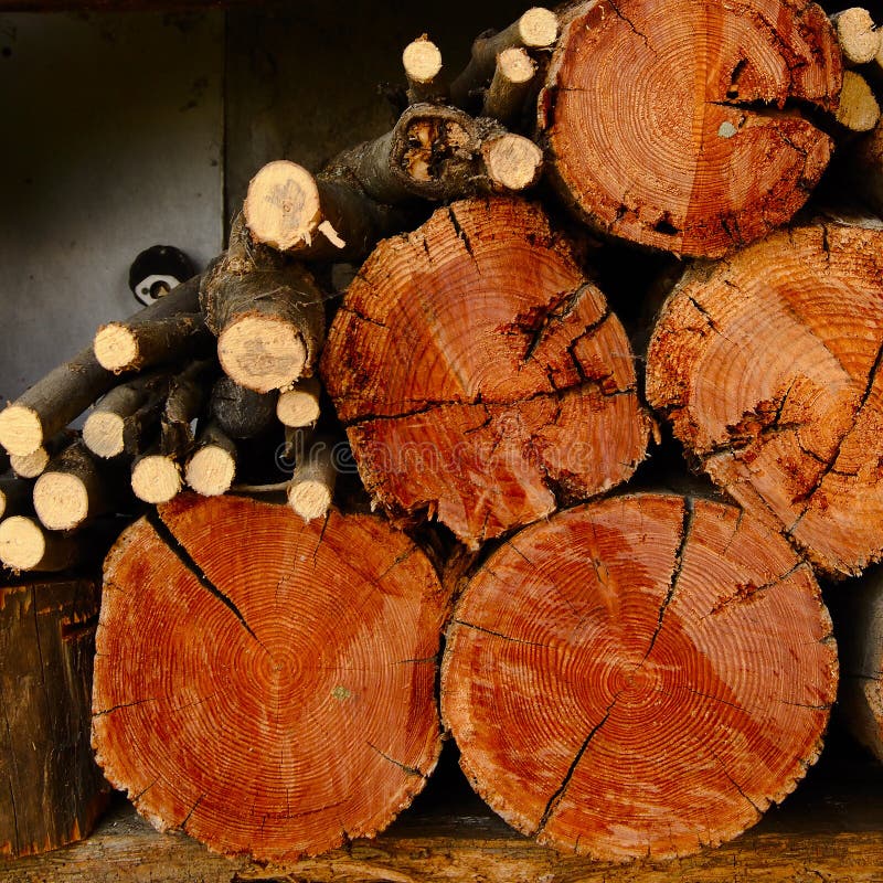 Chopped wood stock photo. Image of chop, pattern, staked - 53280776