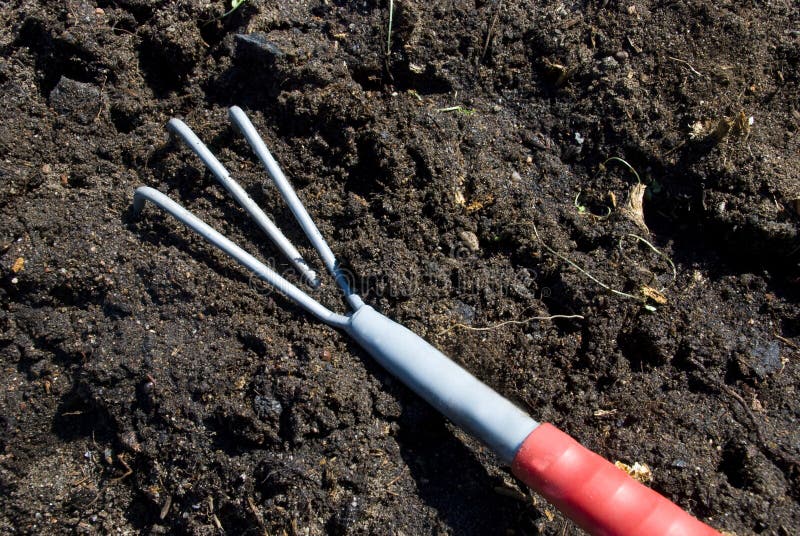 Chopper stock image. Image of chop, lump, plant, root - 9607965