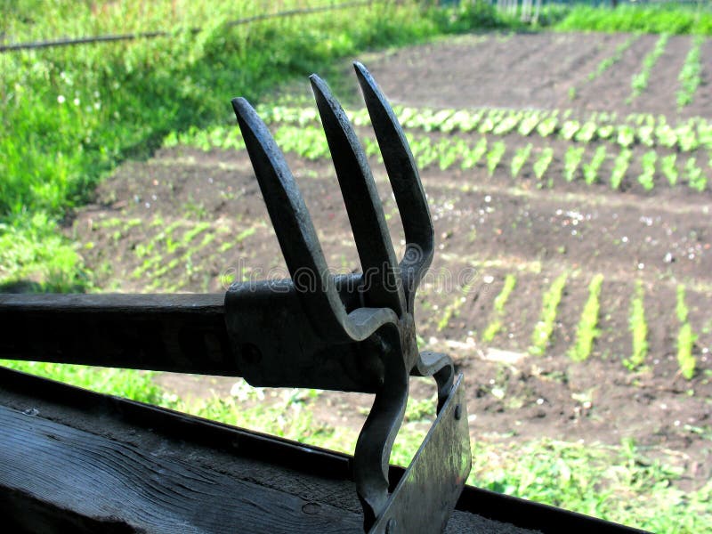 Chopper and Vegetable Garden Stock Image - Image of spring, green: 18494283