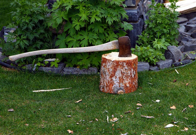 Chopping block stock image. Image of grind, loggers, mountain - 25770129