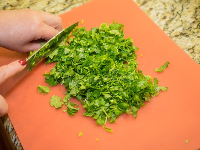 Chopping cilantro stock image. Image of lifestyle, kitchen - 39008833