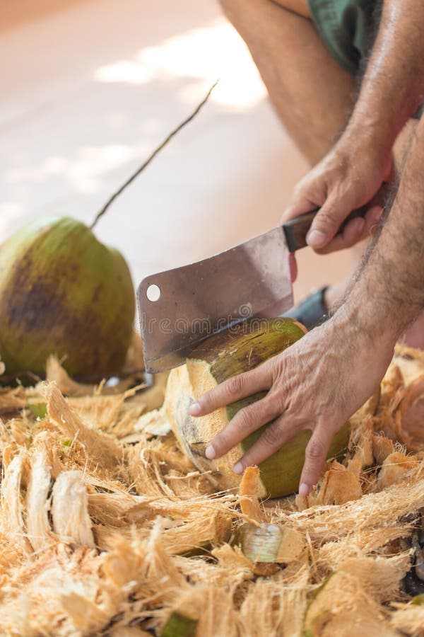 Chopping coconut by knife stock photo. Image of exotic - 52267718