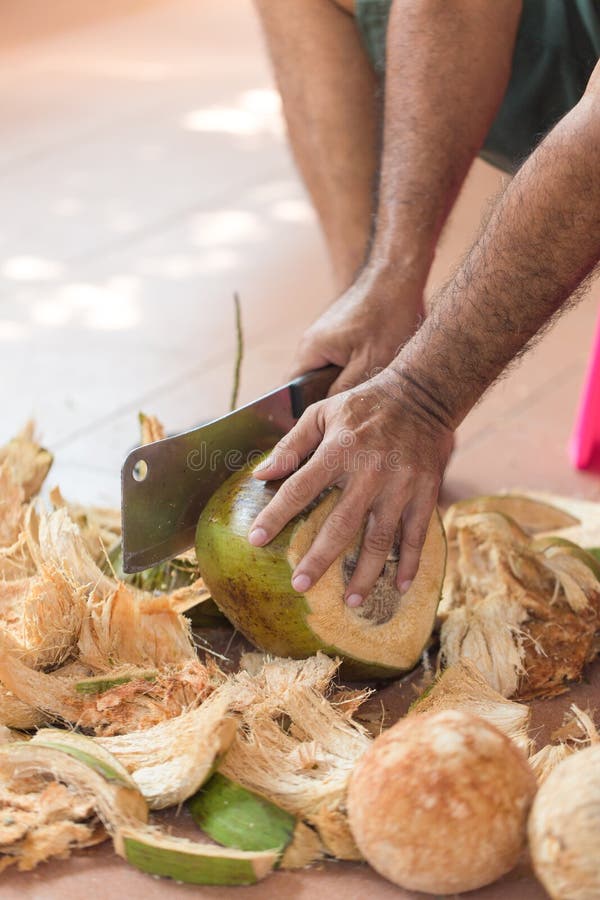 Chopping coconut by knife stock image. Image of cleaver - 52263819