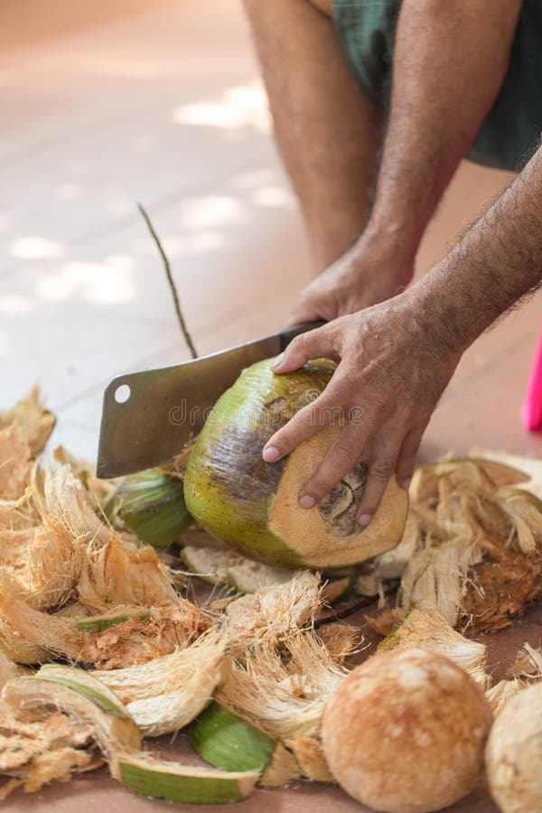 Chopping coconut by knife stock photo. Image of exotic - 52267718