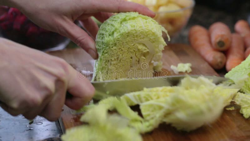 Chopping Fresh Cabbage stock video. Video of knife, chopping - 247743421