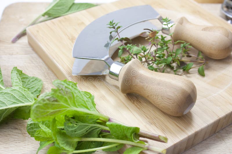 Chopping herbs stock photo. Image of coriander, kitchen - 14543966