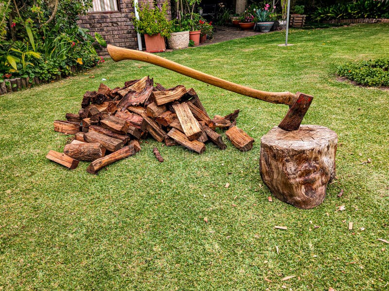 Chopping Logs in the Backyard Stock Image - Image of flower, autumn ...