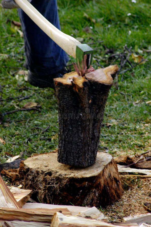 Chopping wood with an axe stock image. Image of land - 189097355