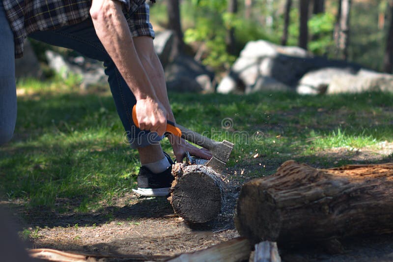 Chopping Wood in the Forest Stock Image - Image of people, equipment ...