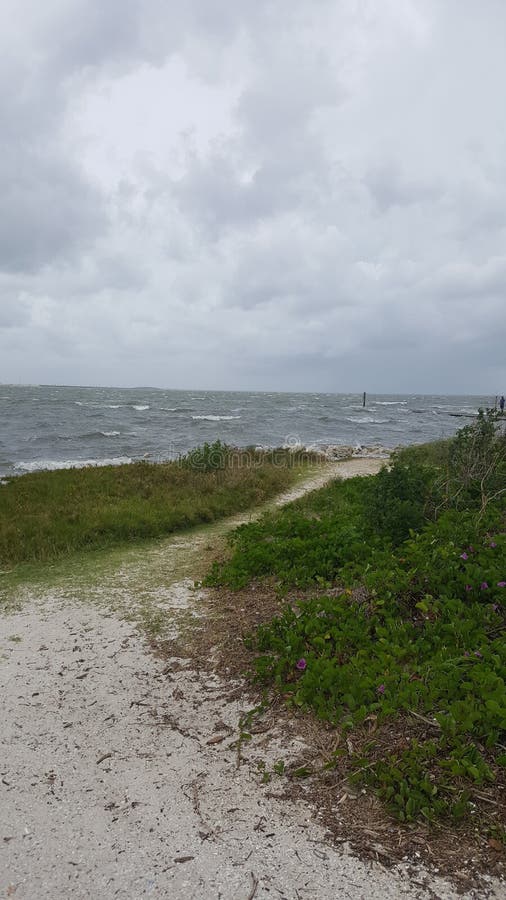 Choppy waters stock image. Image of horizon, tampa, wind - 206466019