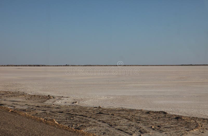Chott el Djerid stock photo. Image of africa, natural - 12848162