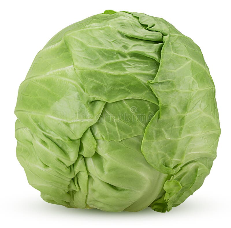 Chou Commun Coupé Dans La Moitié Photo stock - Image du découpage ...
