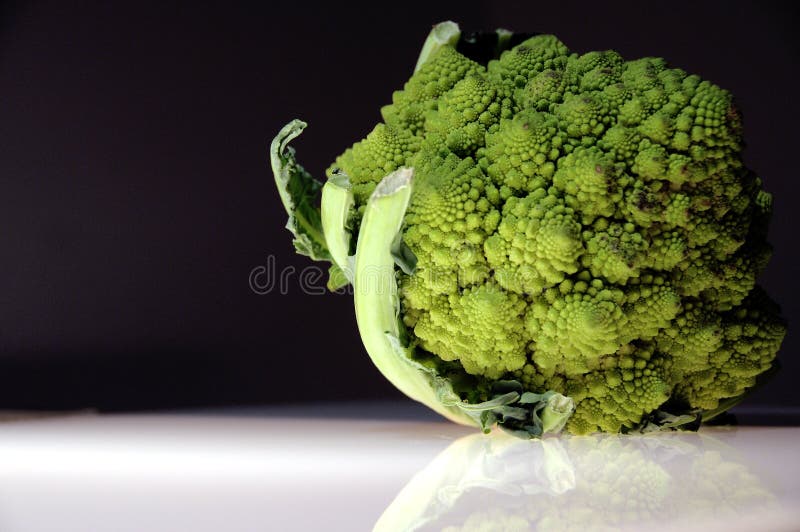 Chou commun image stock. Image of noir, nourriture, recette - 4792431