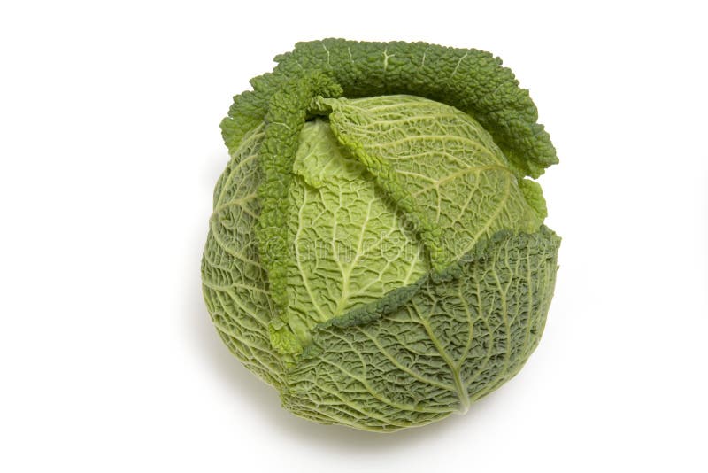 Chou de savoie de chou image stock. Image du légumes, fermer - 1890745