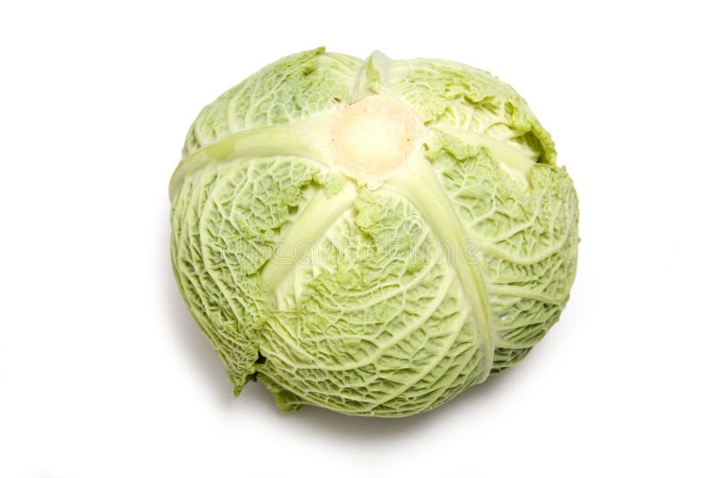 Chou de savoie de chou image stock. Image du légumes, fermer - 1890745