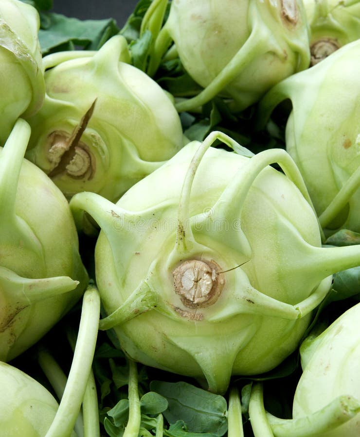 Chou-rave image stock. Image du frais, nourriture, produit - 5232567