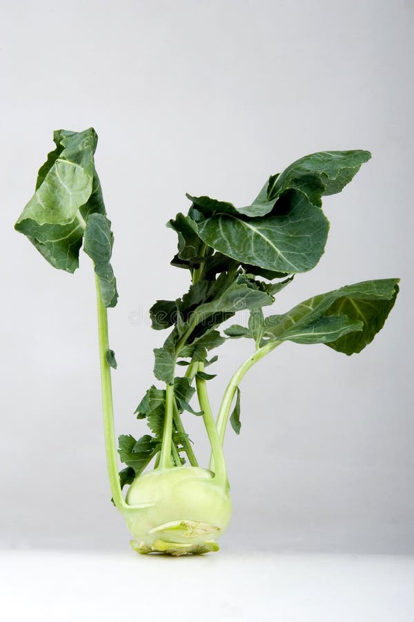 CHOU-RAVE image stock. Image du nutrition, blanc, légume - 709417