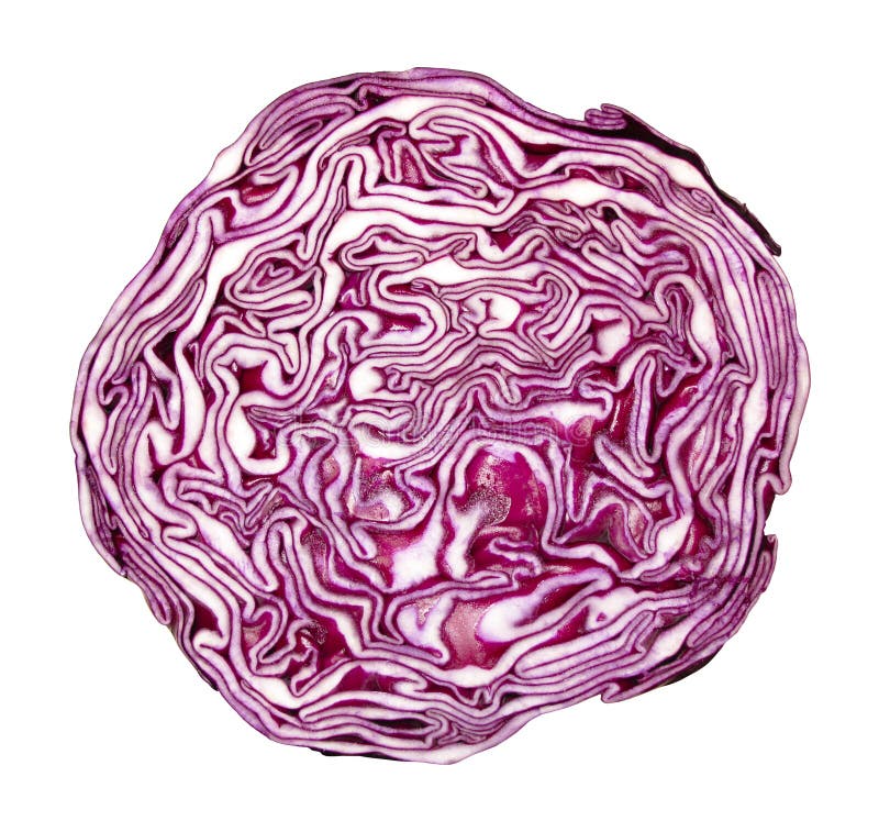 Chou Rouge Sur Le Fond Blanc Image stock - Image du calories, organique ...