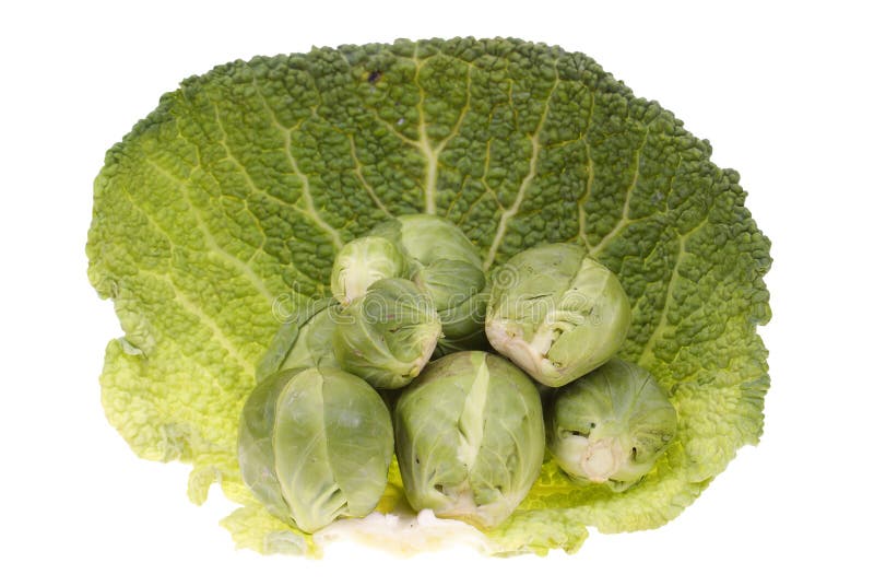 Choux de Bruxelles image stock. Image du vert, isolement - 7147525
