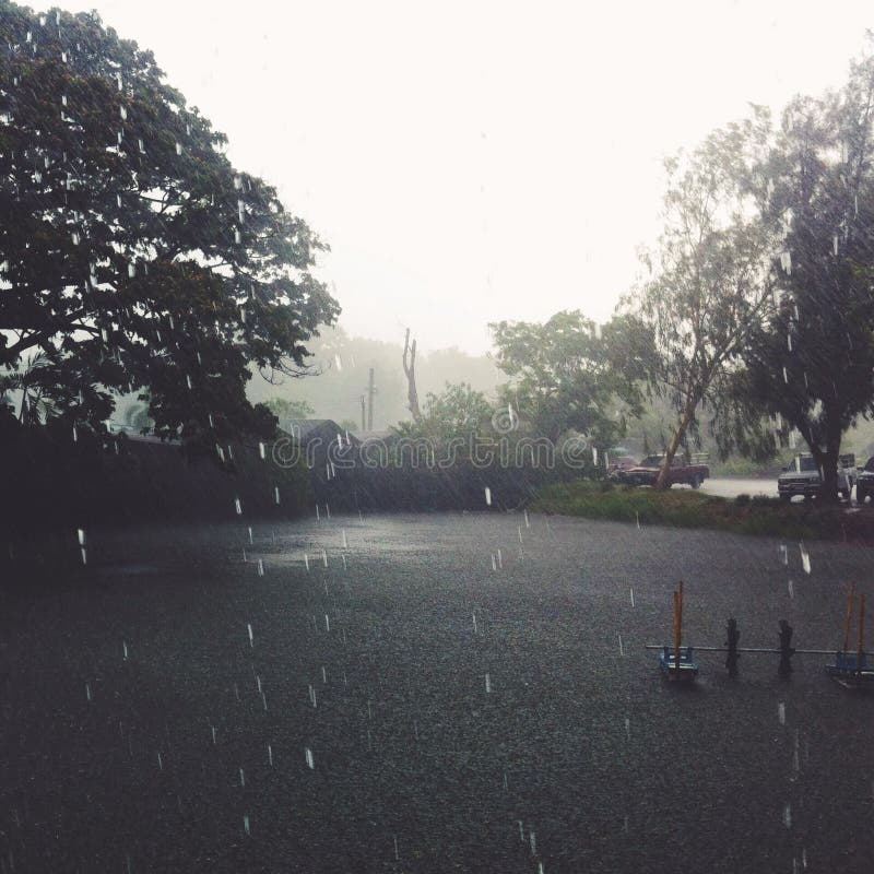 Chovendo o dia foto editorial. Imagem de molhado, verde - 42828541
