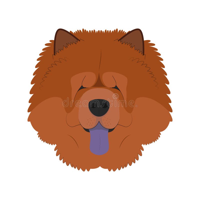 Dog Chow Chow Cartoon Vector Illustration Stock Vector - Illustration ...