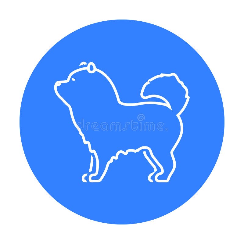 Chow-chow Vector Icon in Outline Style for Web Stock Vector ...