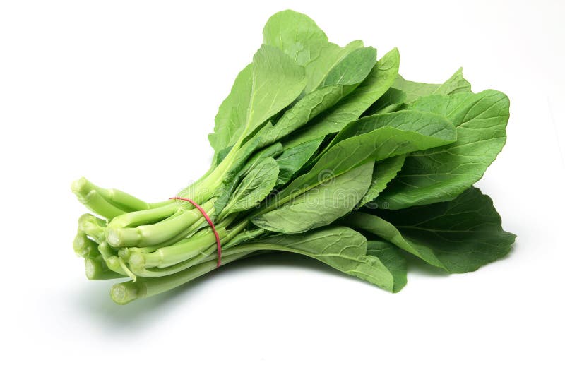 Chinese broccoli stock photo. Image of vegetable, cooking - 958186