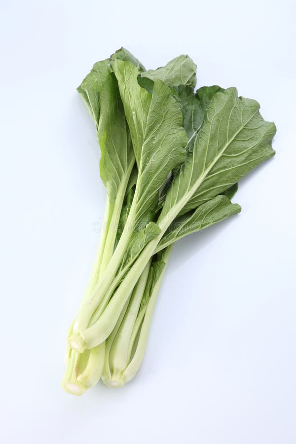 Choy sum stock photo. Image of recycle, organic, shot - 63815720