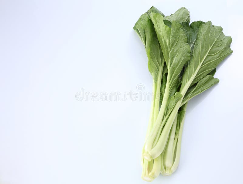 626 Choy Sum Vegetable Stock Photos - Free & Royalty-Free Stock Photos ...